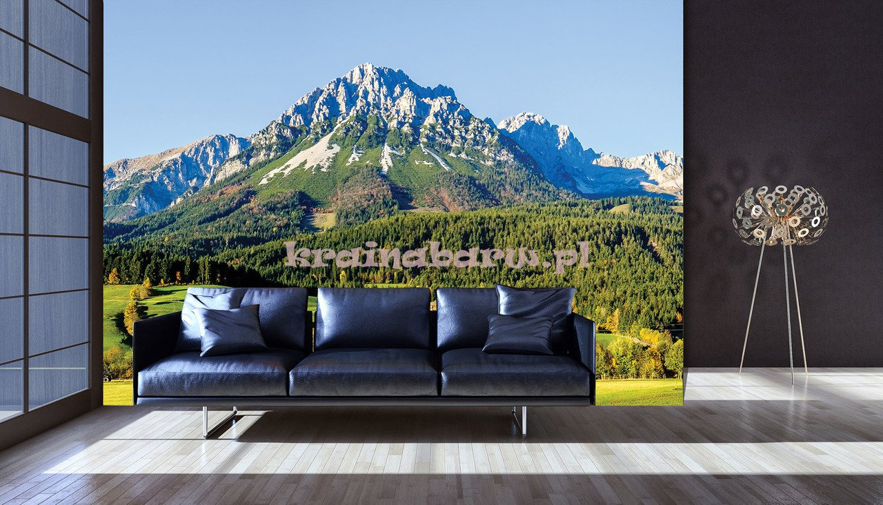 Fototapeta 12109 GÓRY - CONSALNET - Sklep Tanie Fototapapety